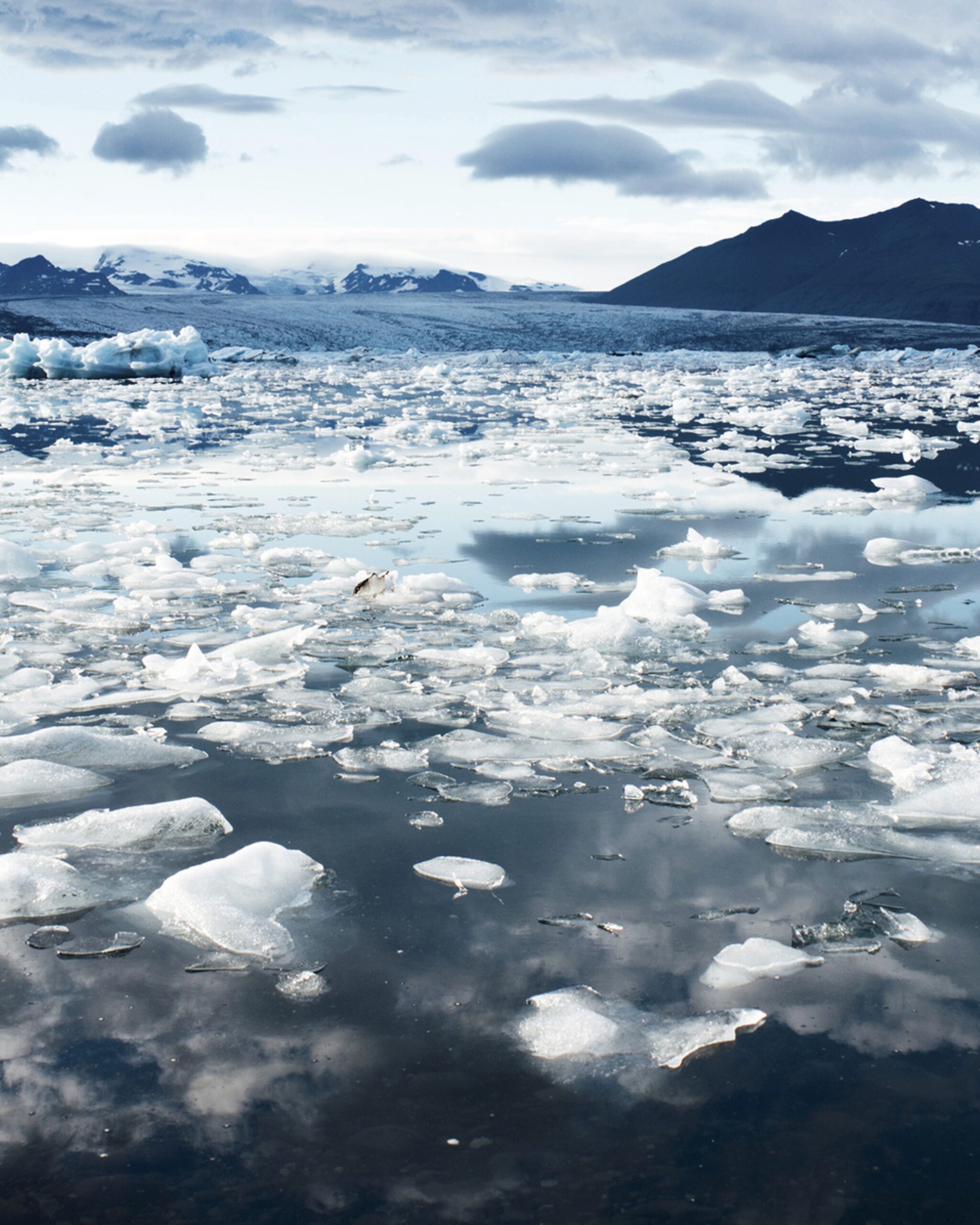 Climate Change Photography with MCAD (Minneapolis College of Art and ...